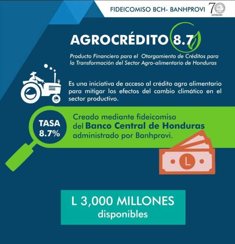 BCH crea fideicomiso para agrocrédito y lo comunica vía twitter | Dinero HN BCH crea fideicomiso para agrocrédito y lo comunica vía twitter | Dinero HN
